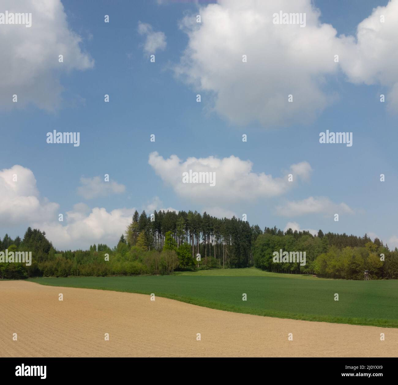 Beautiful scenery of agricultural land with the forest in the ...