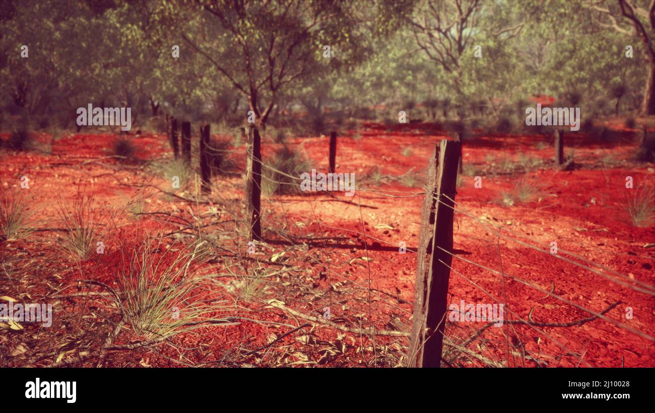 Dingoe fence in the Australian Outback Stock Photo - Alamy