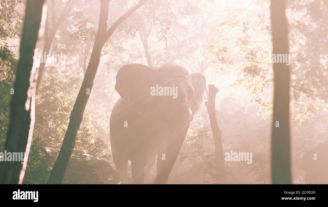 Wild bull elephant in the jungle with deep fog Stock Photo - Alamy