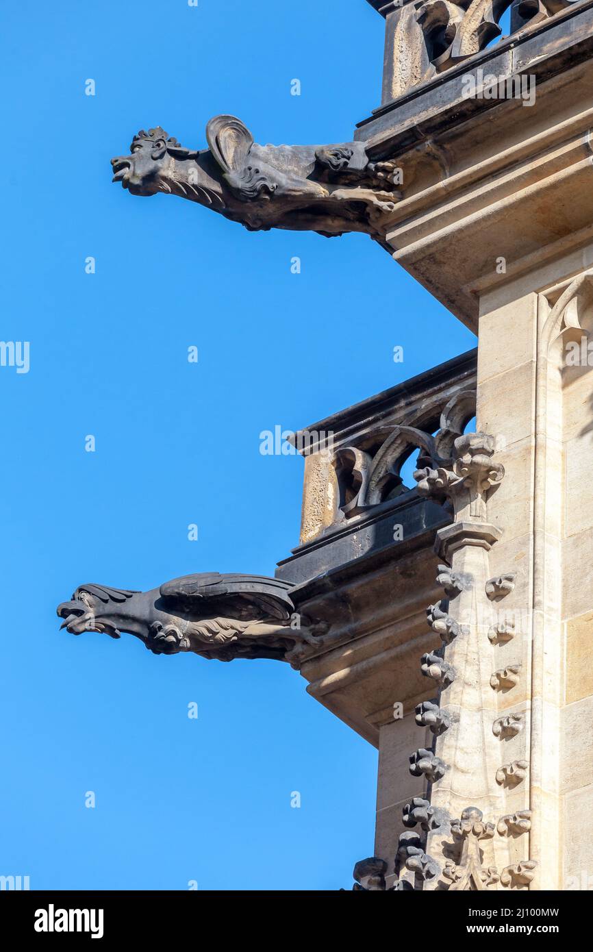 Gothic style Gargoyle on St Vitus' Cathedral, Prague Stock Photo - Alamy