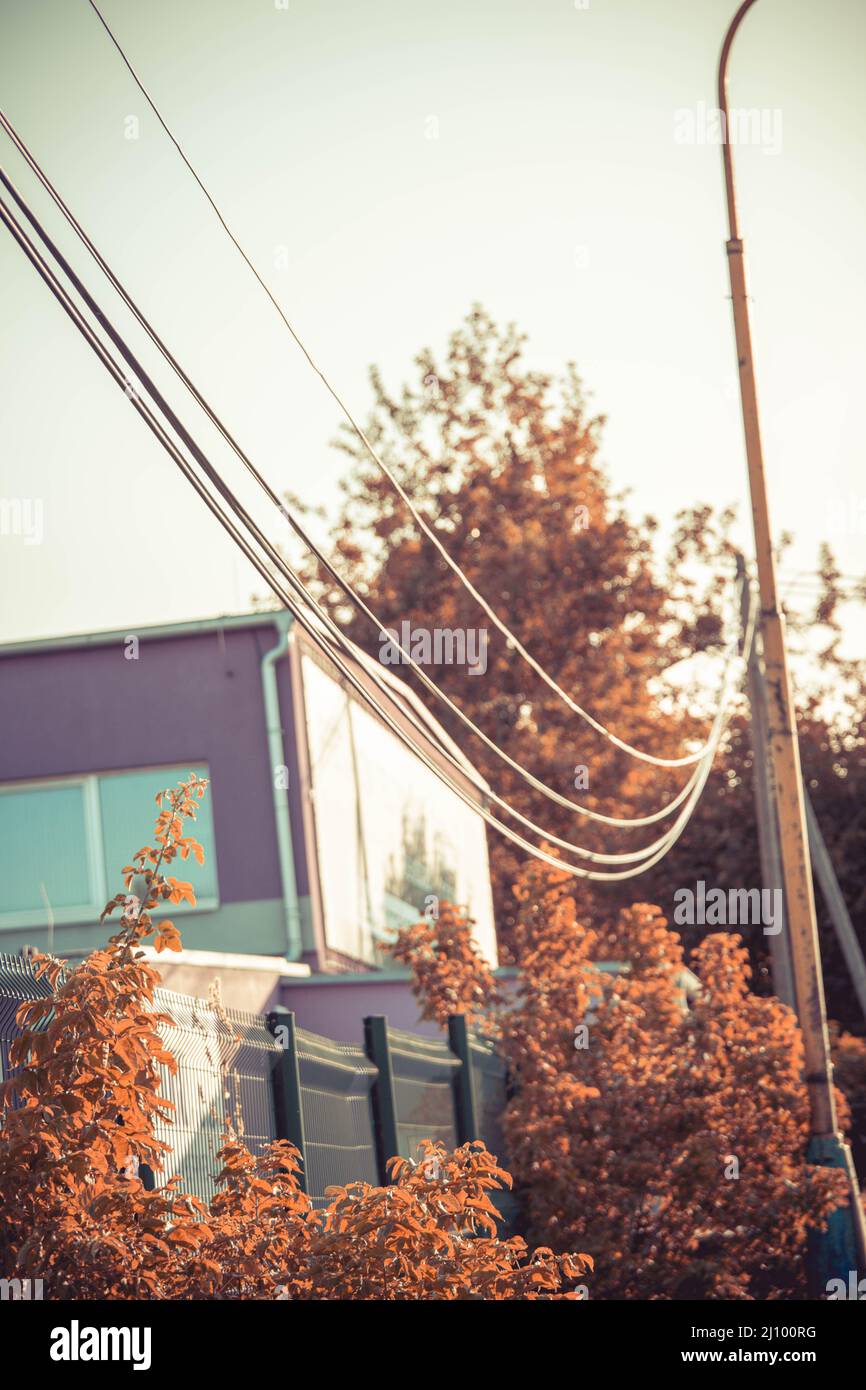 Small modern building among trees with the sky in background Stock ...