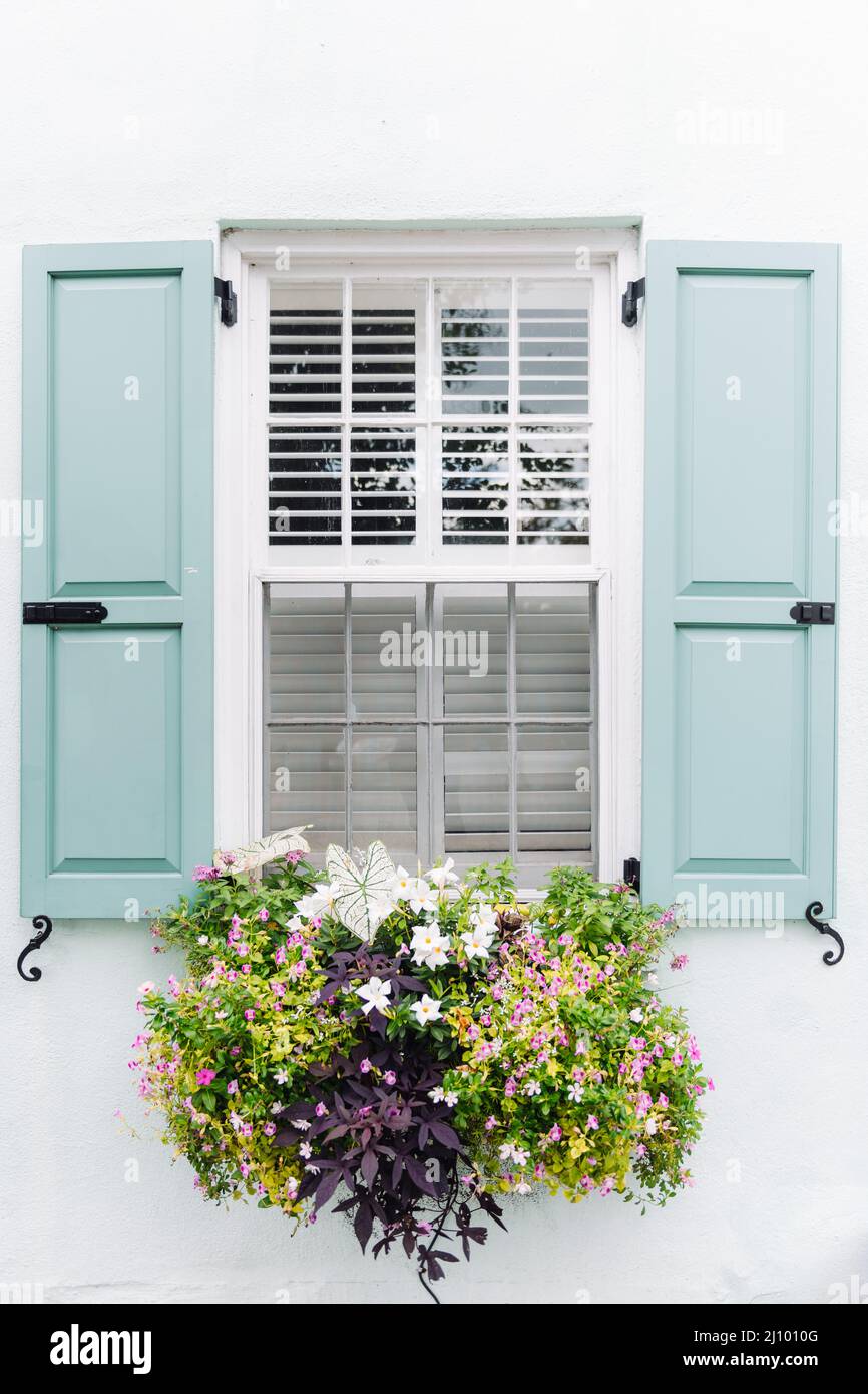 Vertical shot of a white and light blue window with colorful flowers on ...