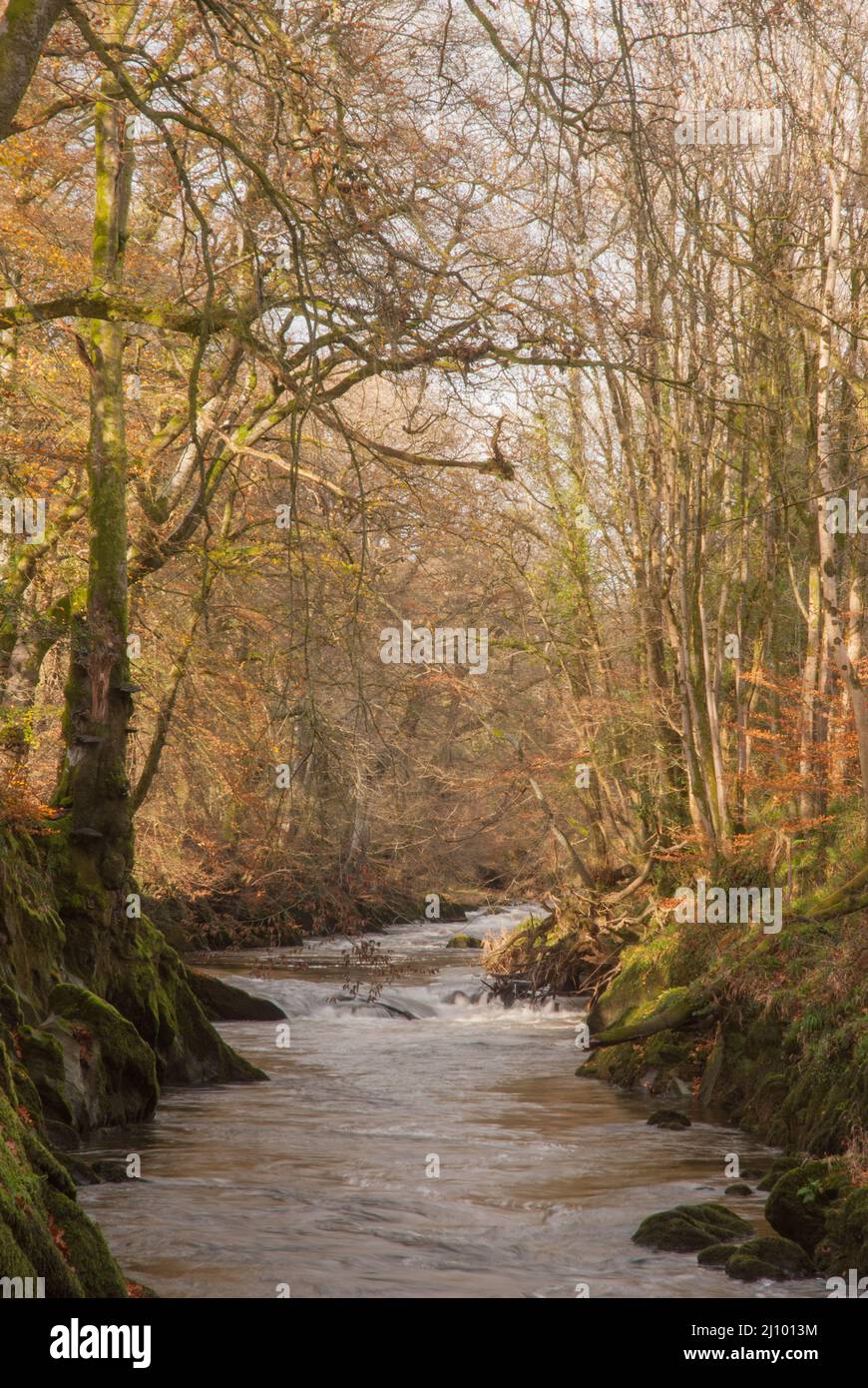 Cothi river hi-res stock photography and images - Alamy