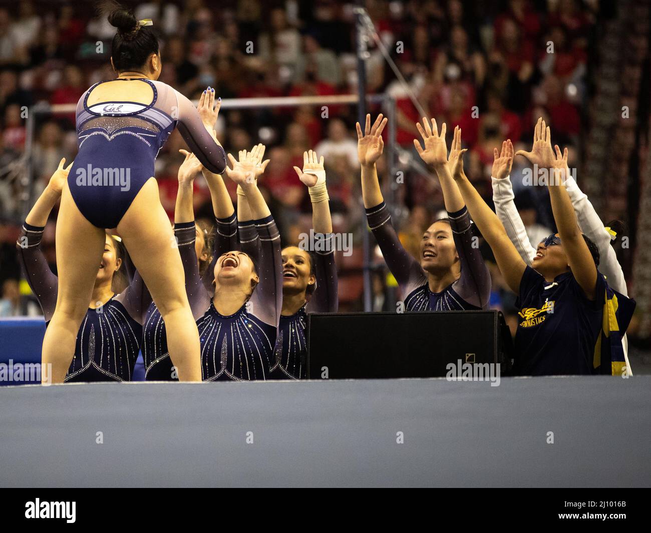 March 19, 2022: University of California Berkeley gymnast Andi Li ...