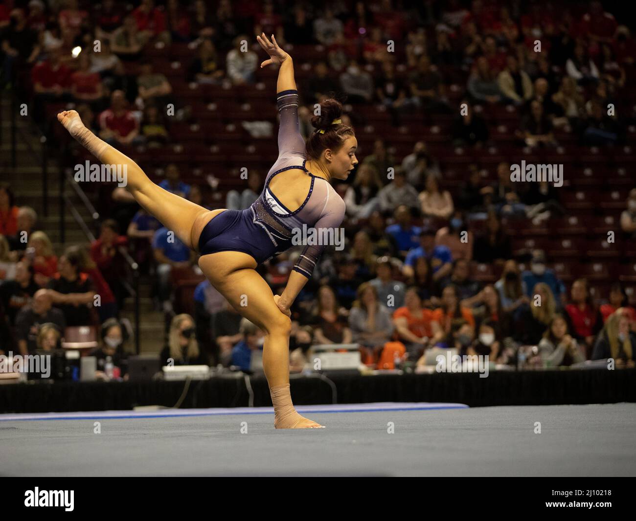 March 19, 2022: University of California Berkeley gymnast Milan Clausi ...