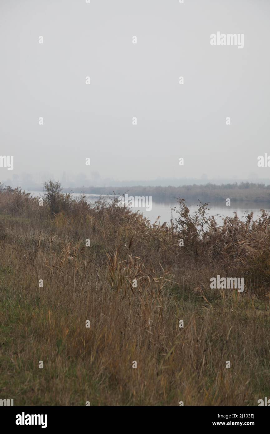 Beautiful vertical shot riverside hi-res stock photography and images ...