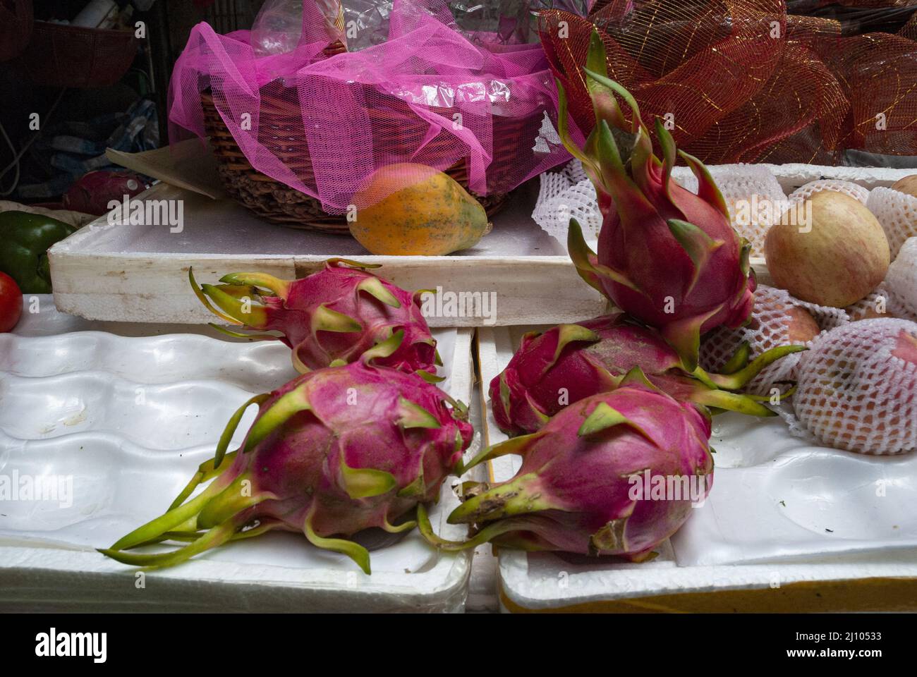 Drango in nature hi-res stock photography and images - Alamy