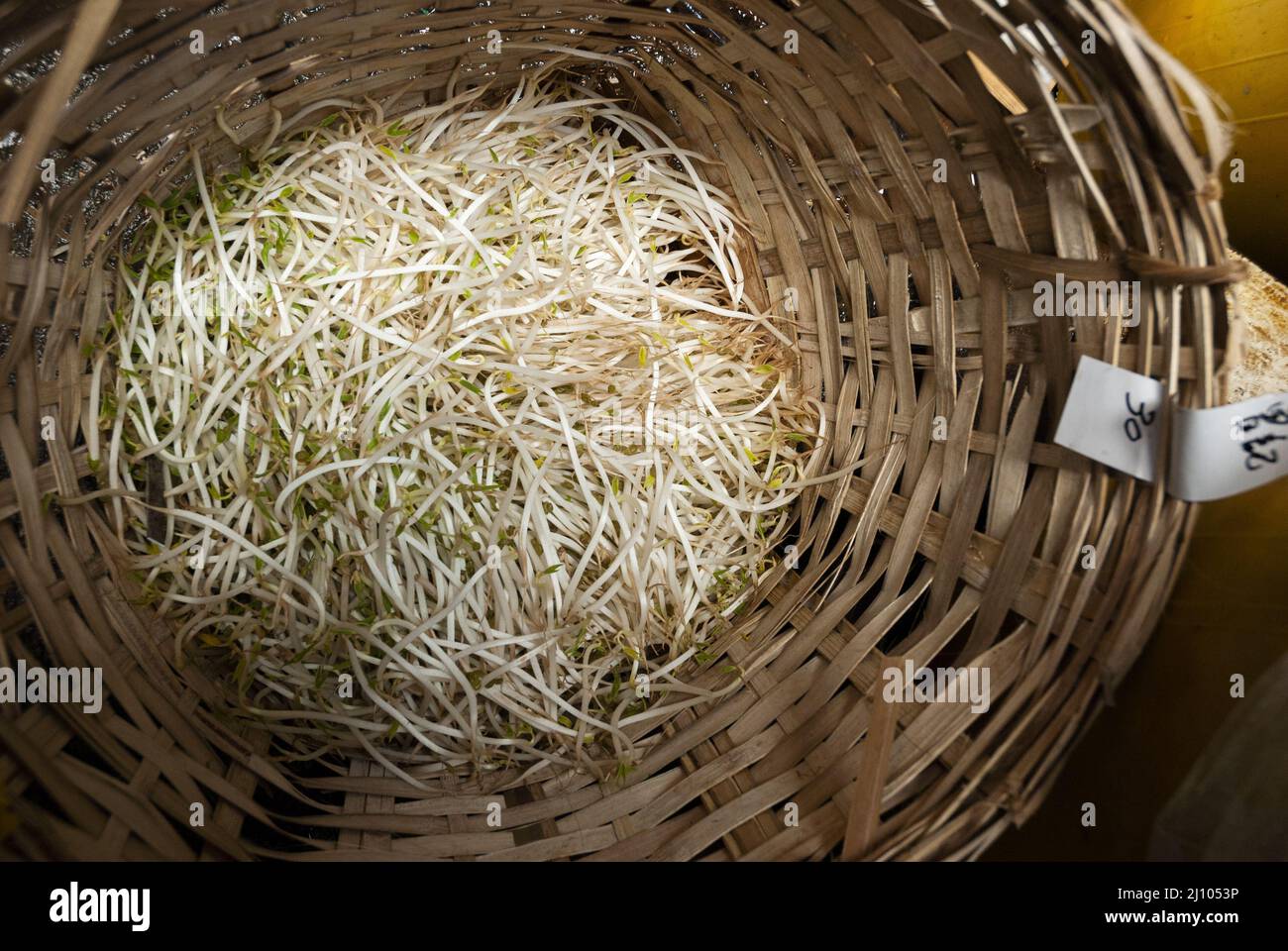 Soybean plant roots hi-res stock photography and images - Alamy
