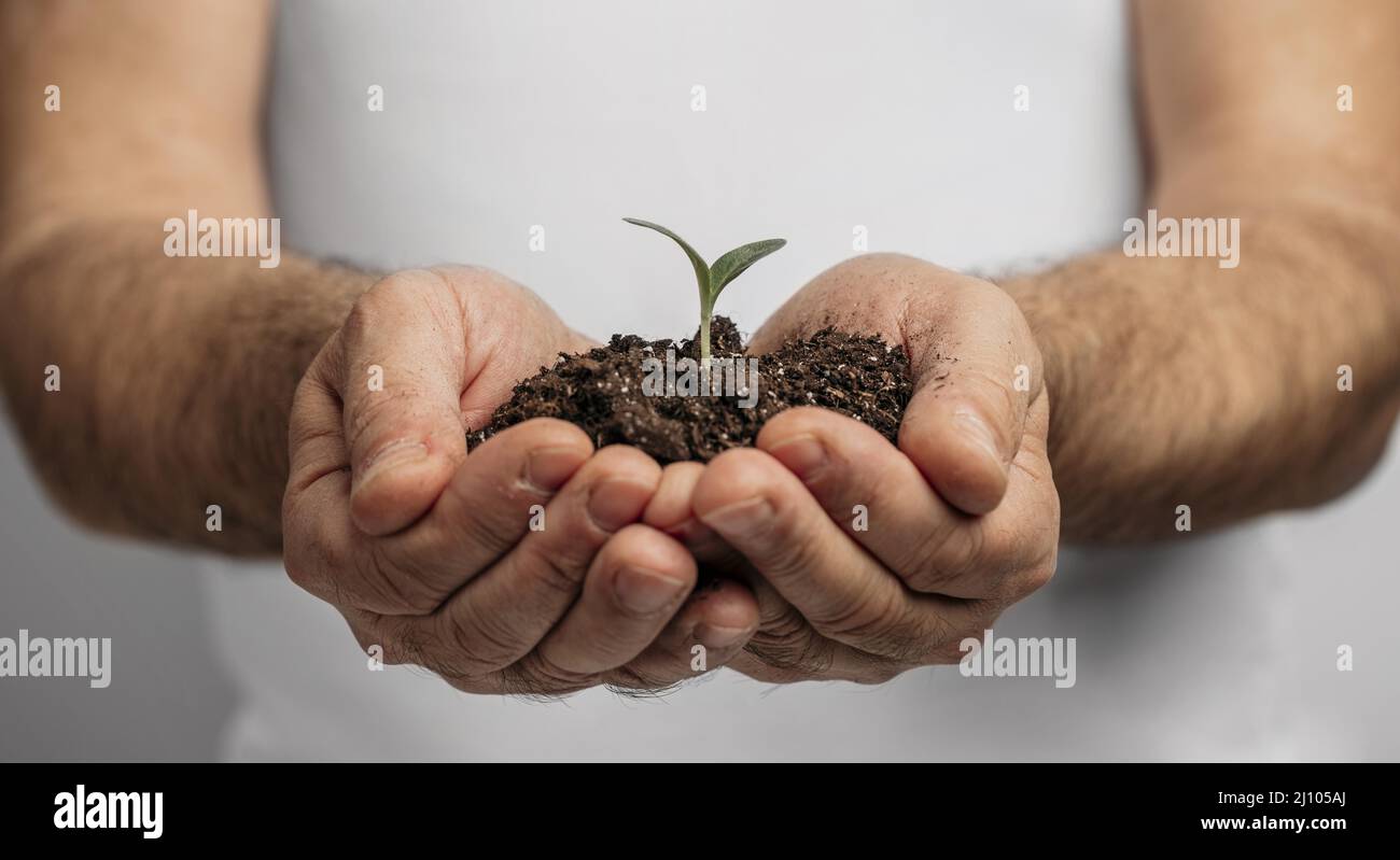 Hands holding soil hi-res stock photography and images - Alamy