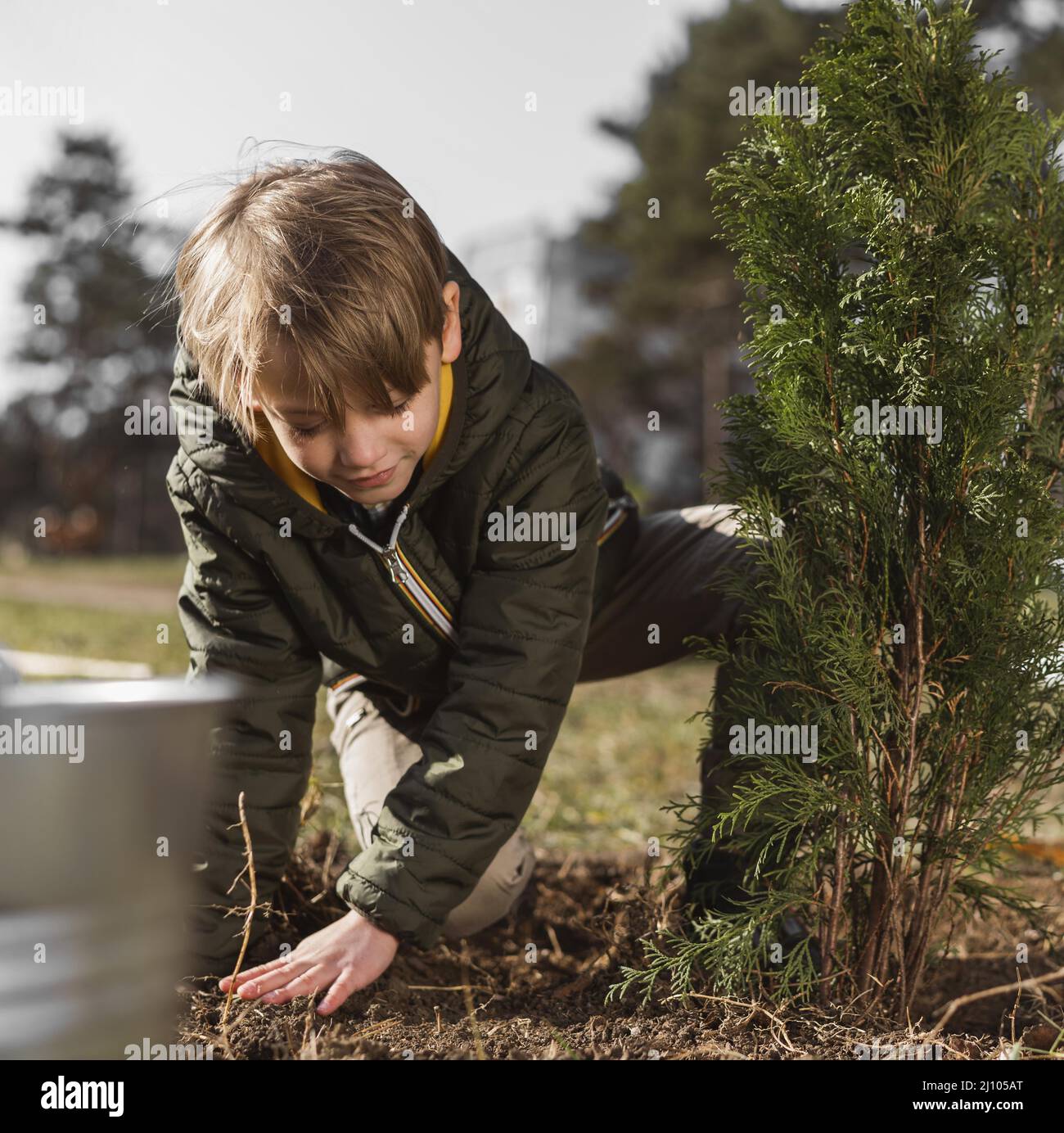Front view young boy planting tree outdoors Stock Photo - Alamy