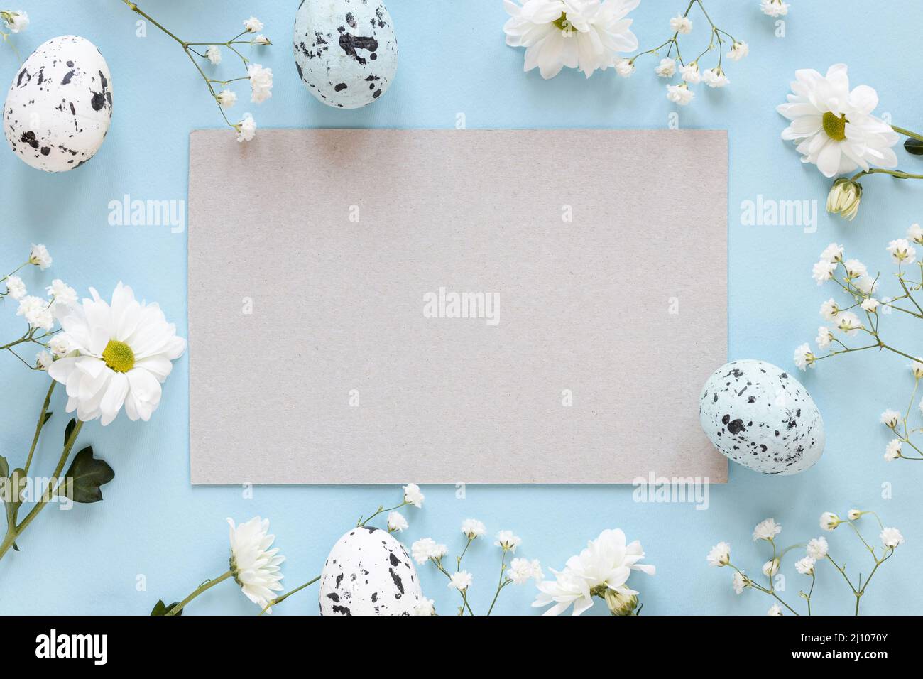 Paper flower template flowers hi-res stock photography and images - Alamy