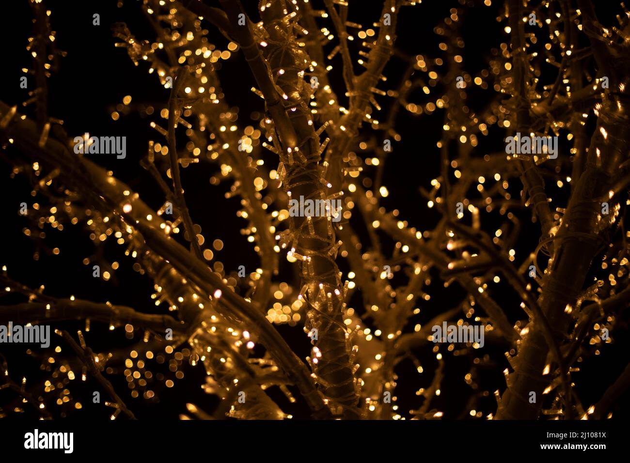 Lights in dark. Tree made of light bulbs. Christmas decorations in city ...