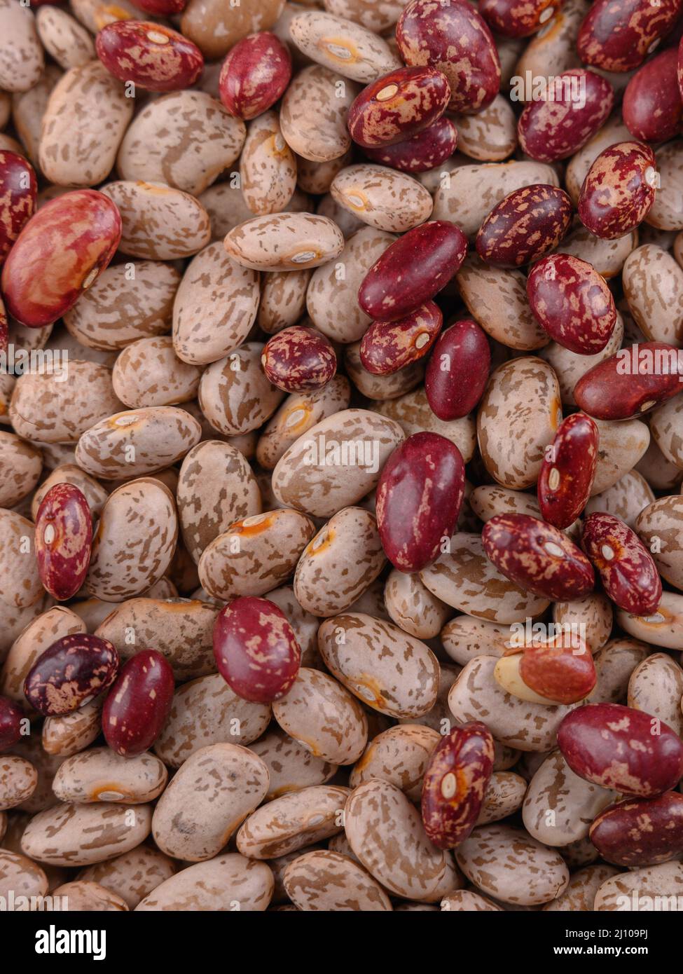 The photo shows red beans. The texture of the seeds is made in high ...