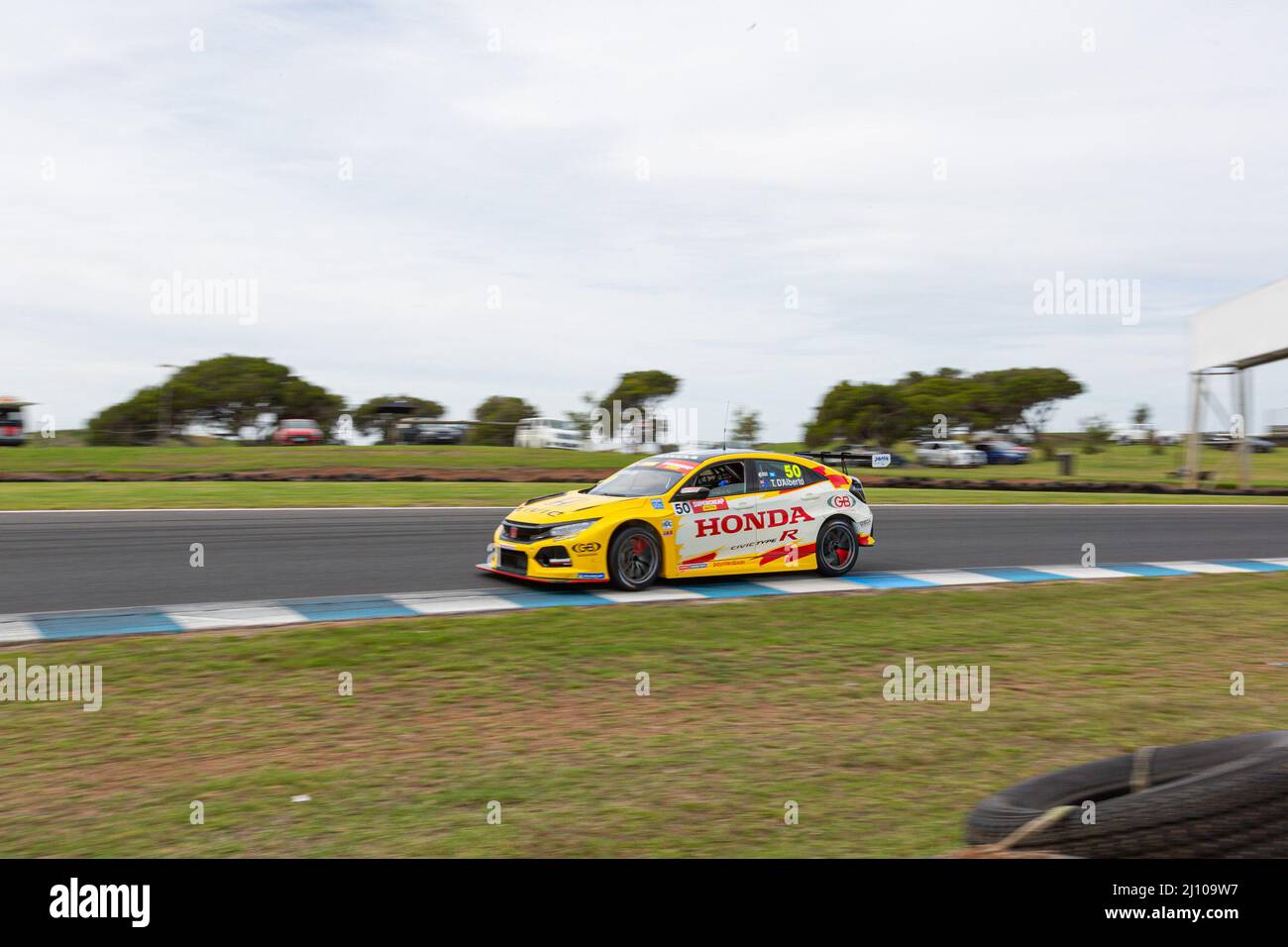 Tony D'Alberto (#50 Honda Wall Racing Honda Civic Type R) during Race 2 ...