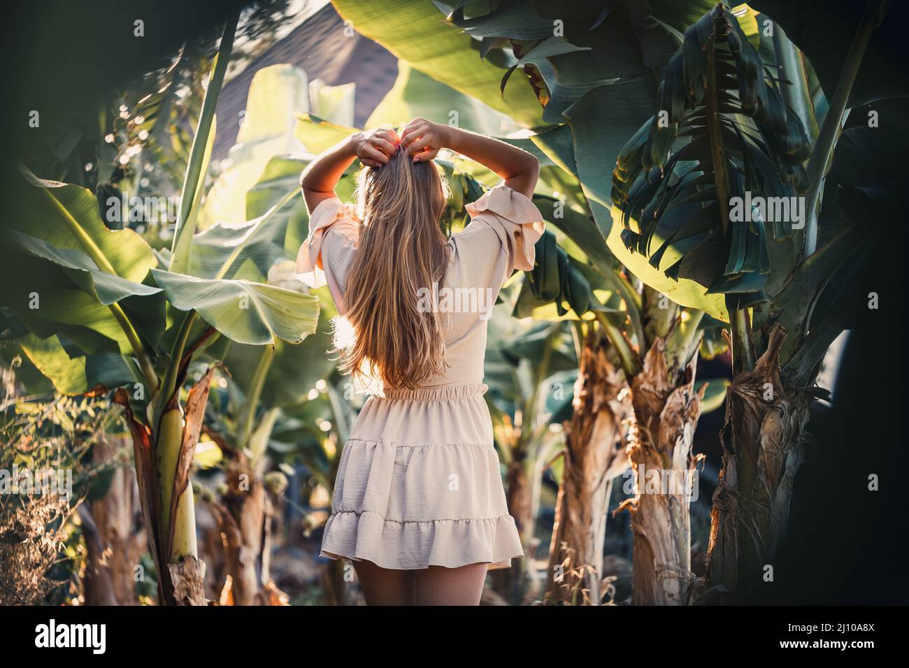 Exotic tropical woman near green leaves of banana bush. Tropical island ...