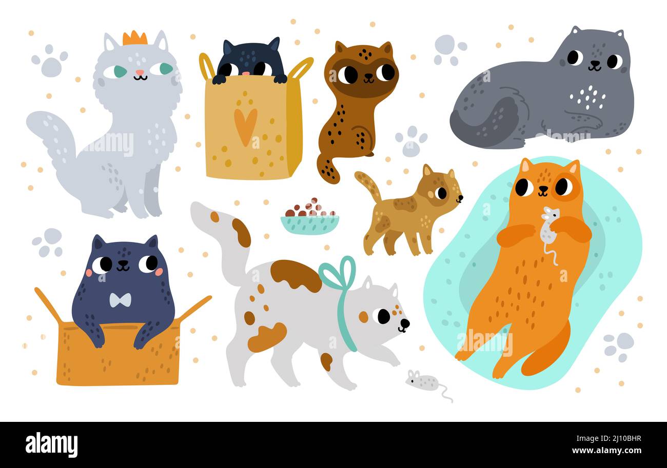 Cat breeds. Cute animals in different poses and activities, funny pets ...