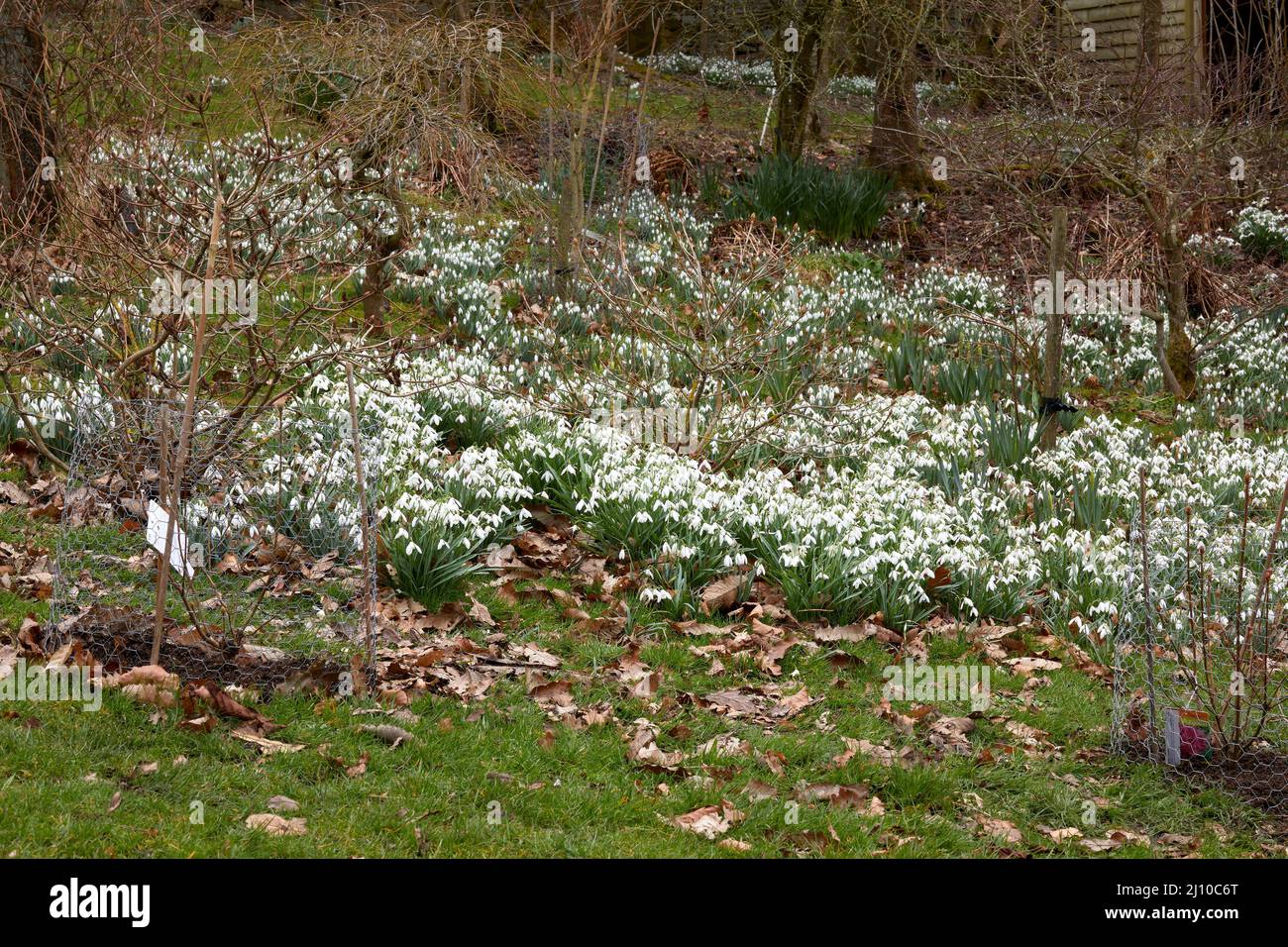 Wave planting hi-res stock photography and images - Alamy
