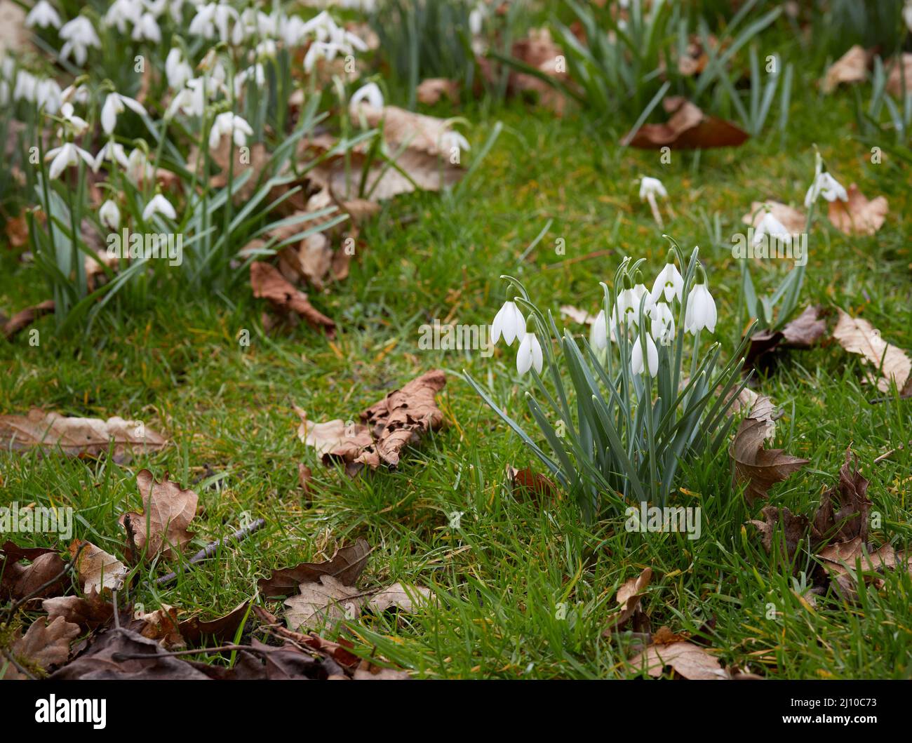Wave planting hi-res stock photography and images - Alamy