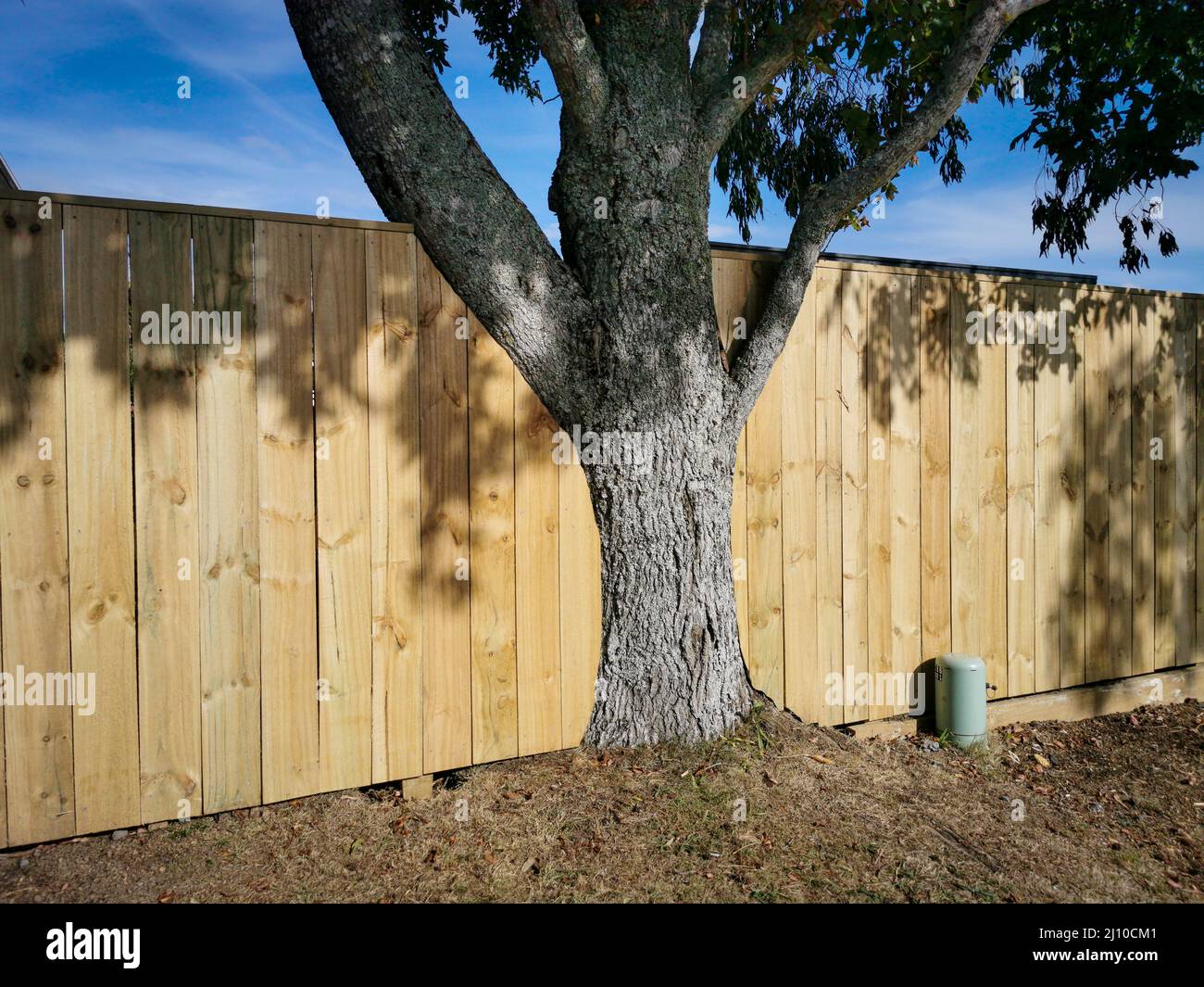 wooden fence built around tree Stock Photo - Alamy