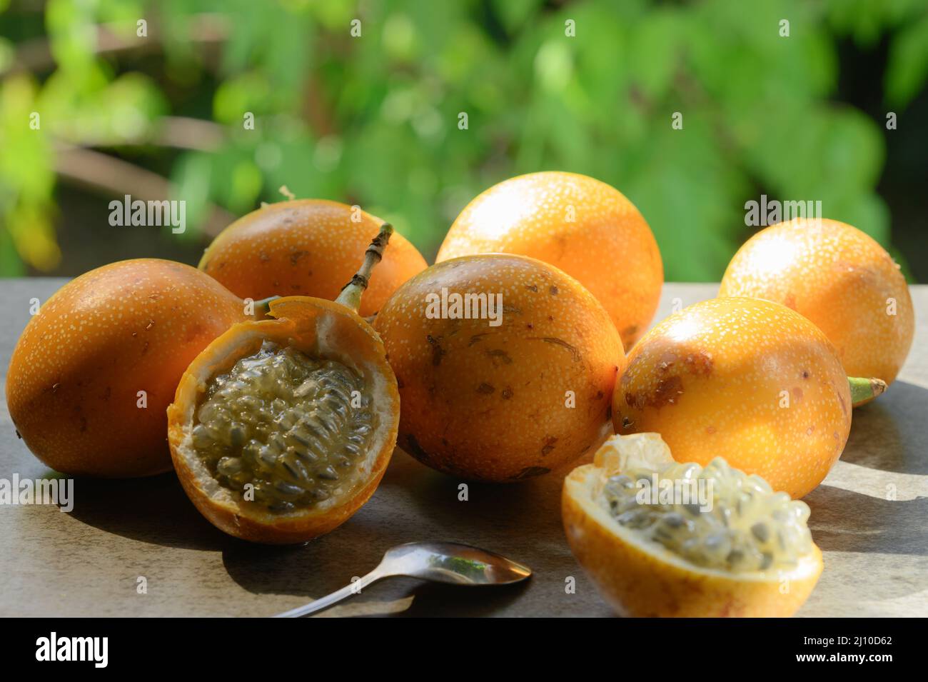Exotic Orange Fruits