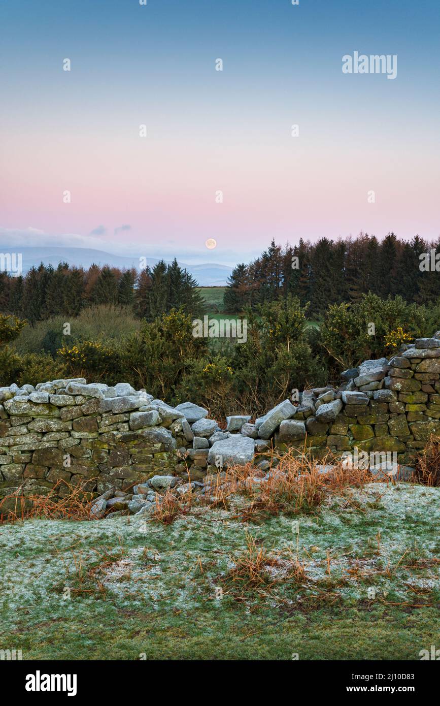 Crumbling stone wall in the South Wales Mountains Stock Photo - Alamy