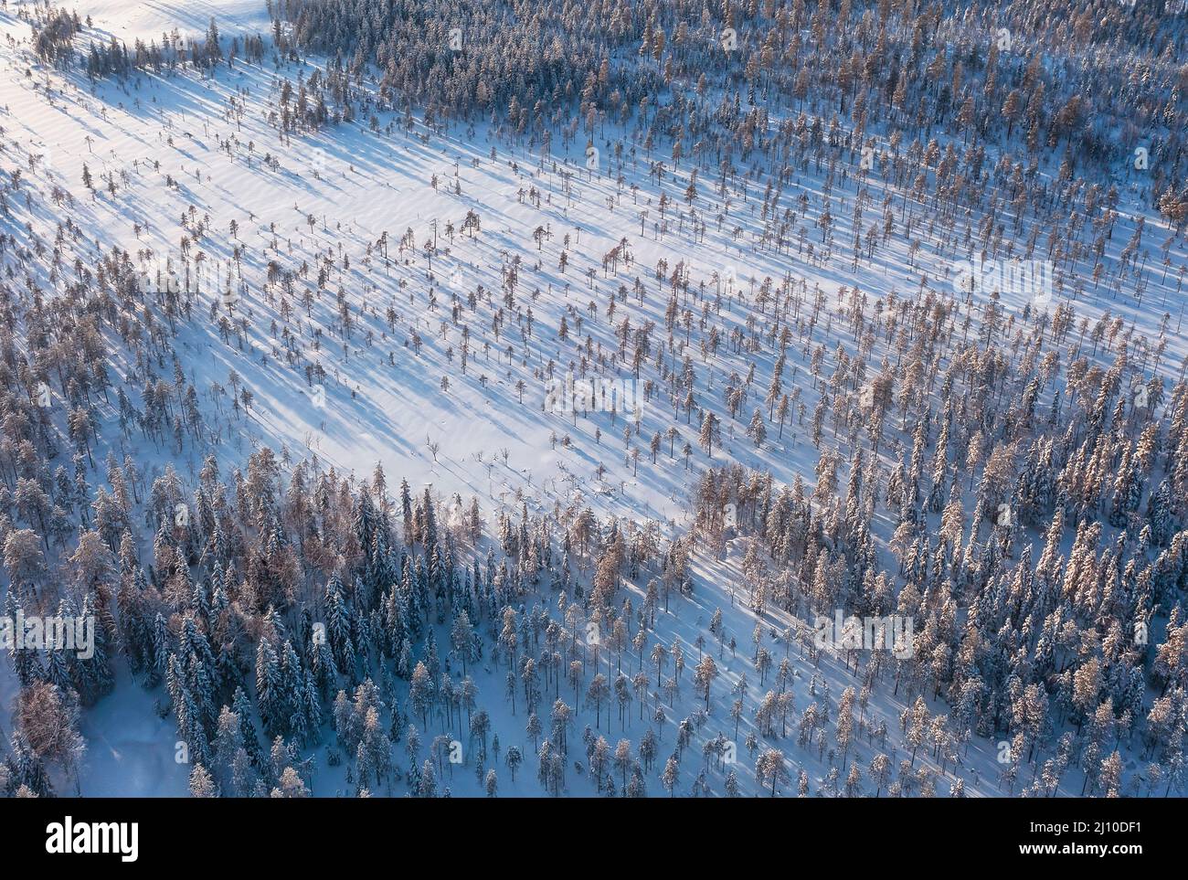 Finland winter forest aerial hi-res stock photography and images - Alamy