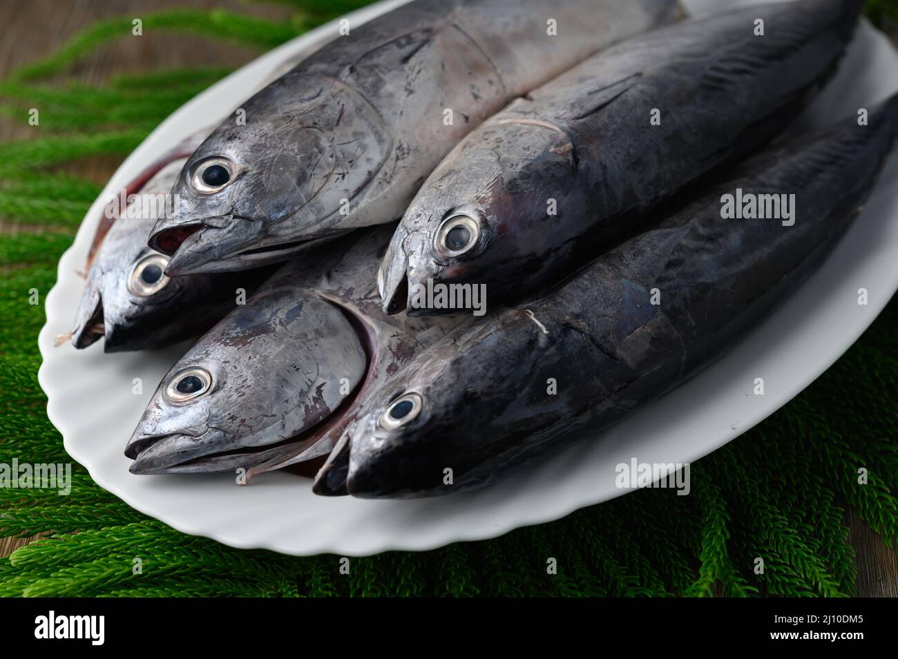 The photo shows a plate with several smoked tuna. Fried fish on a fire ...