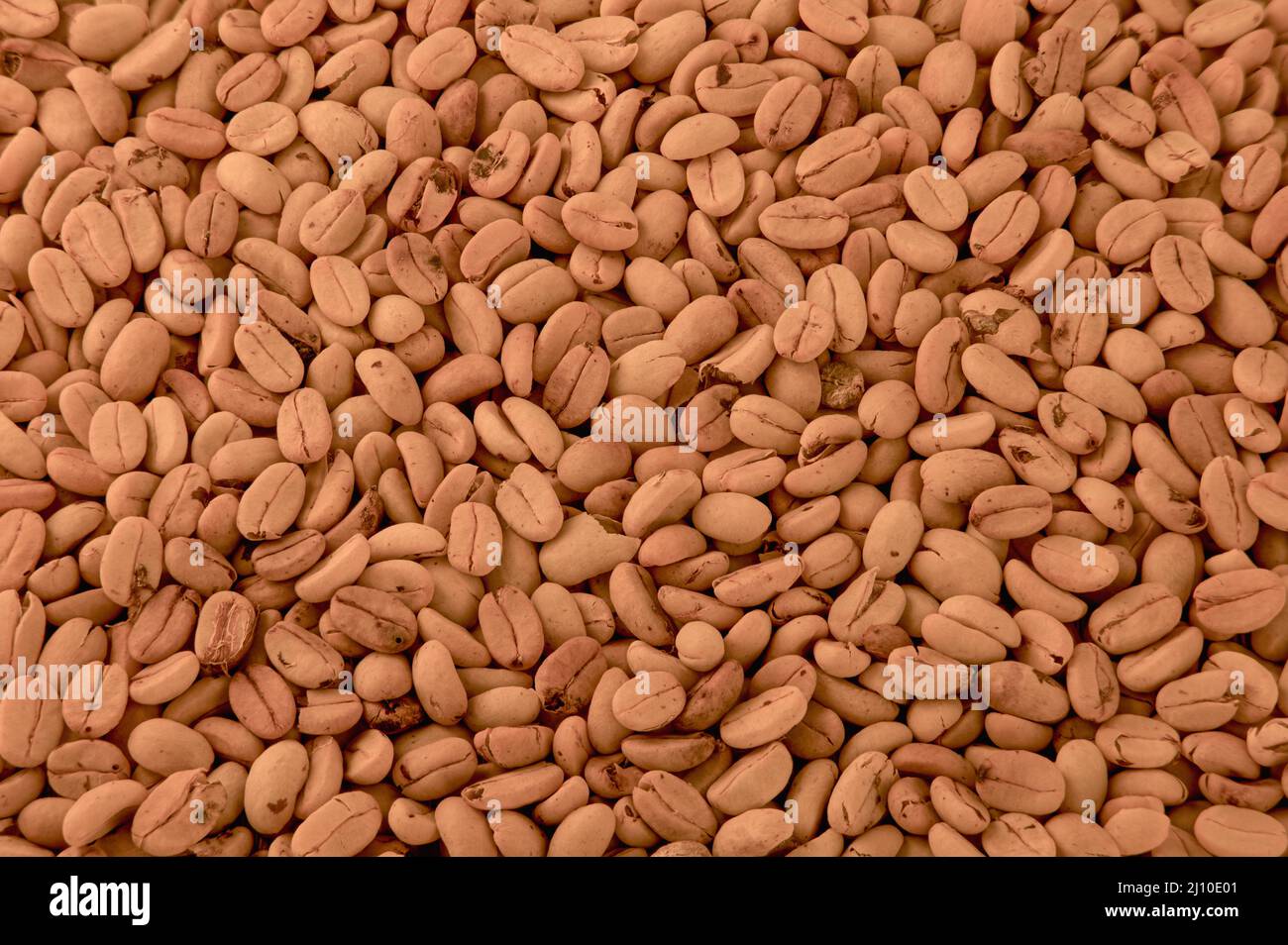 The photo shows grains of roasted coffee. The textures of the coffee ...