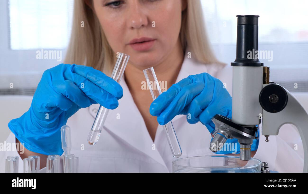 female scientist laboratory assistant uses micropipettes to fill test ...