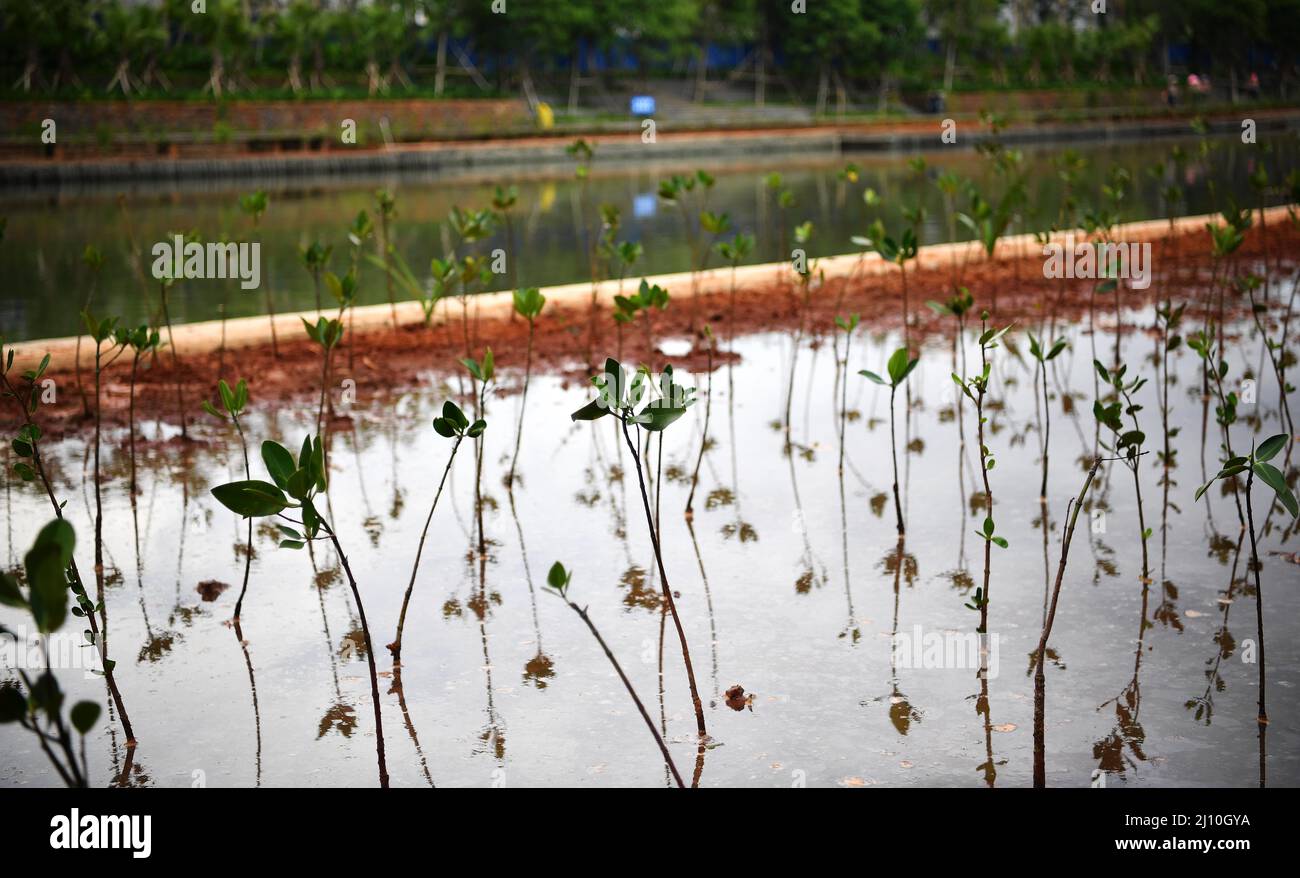 Haikou china meishe river hi-res stock photography and images - Alamy