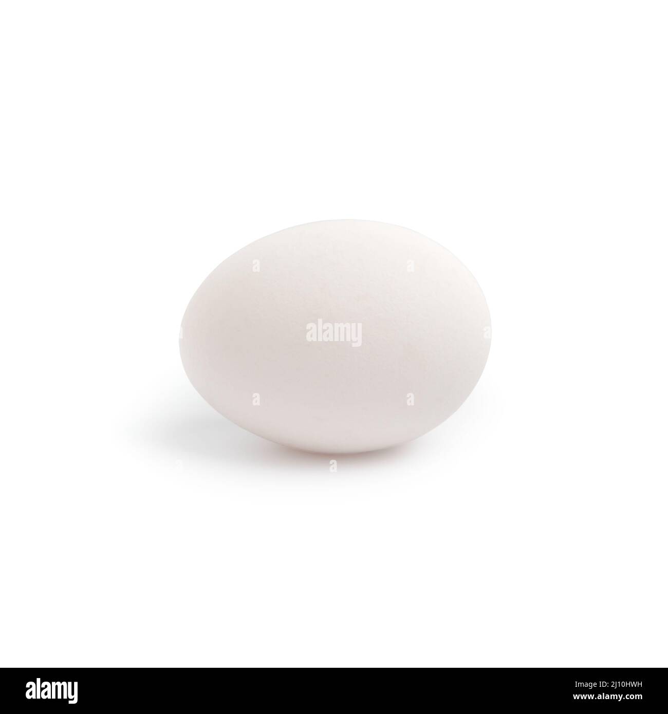 Large white egg hi-res stock photography and images - Alamy