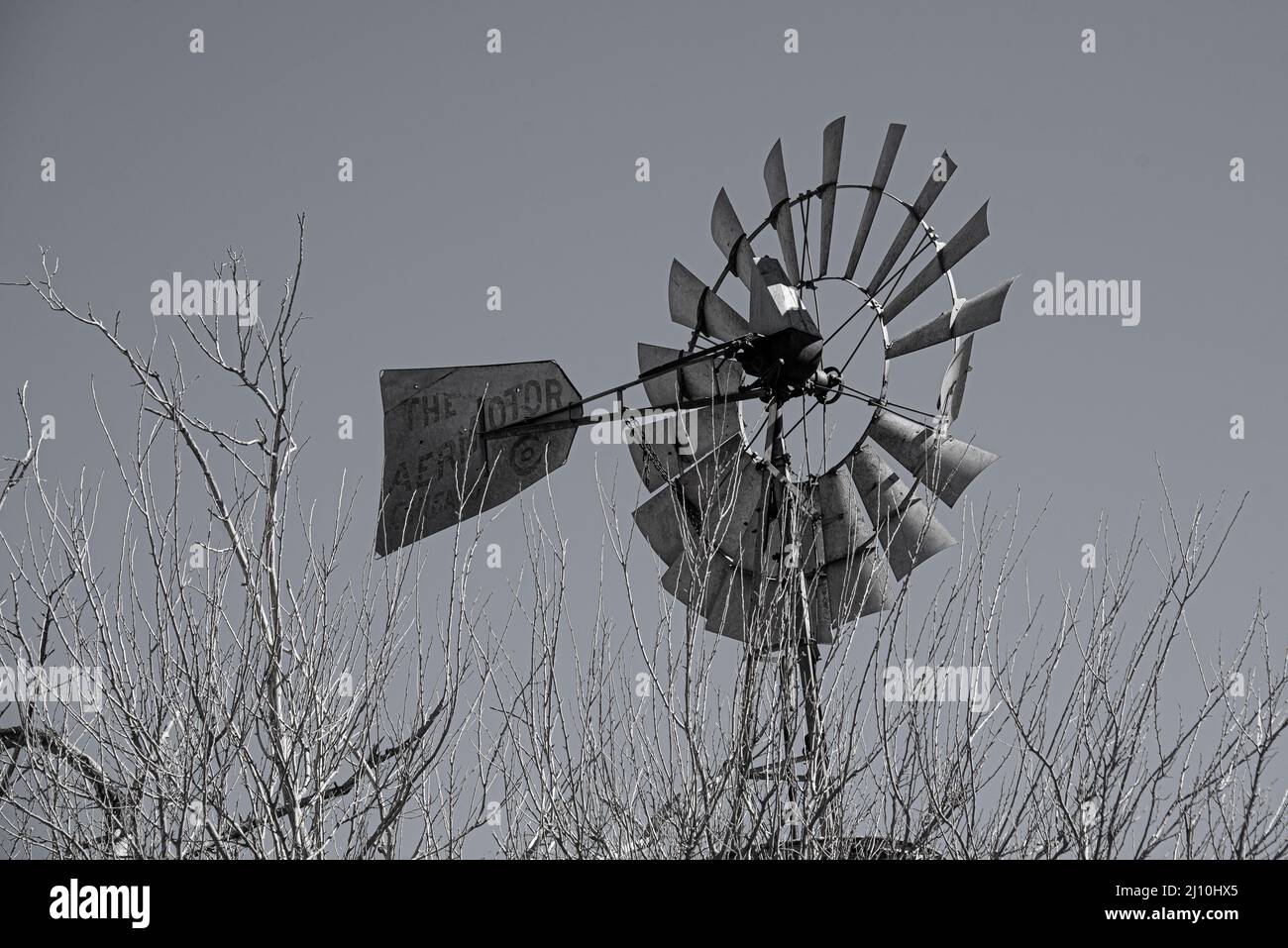 Grayscale shot of an aermotor windmill behind tree braches against the ...