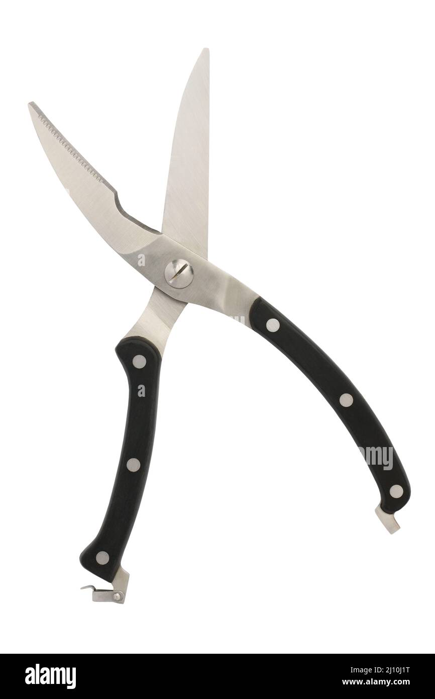 Large steel kitchen scissors for cutting poultry and cooking isolated ...