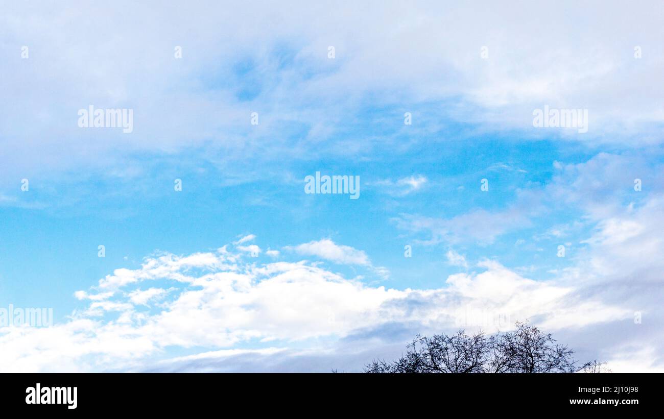 Blue sky and clouds above top of tree Stock Photo - Alamy