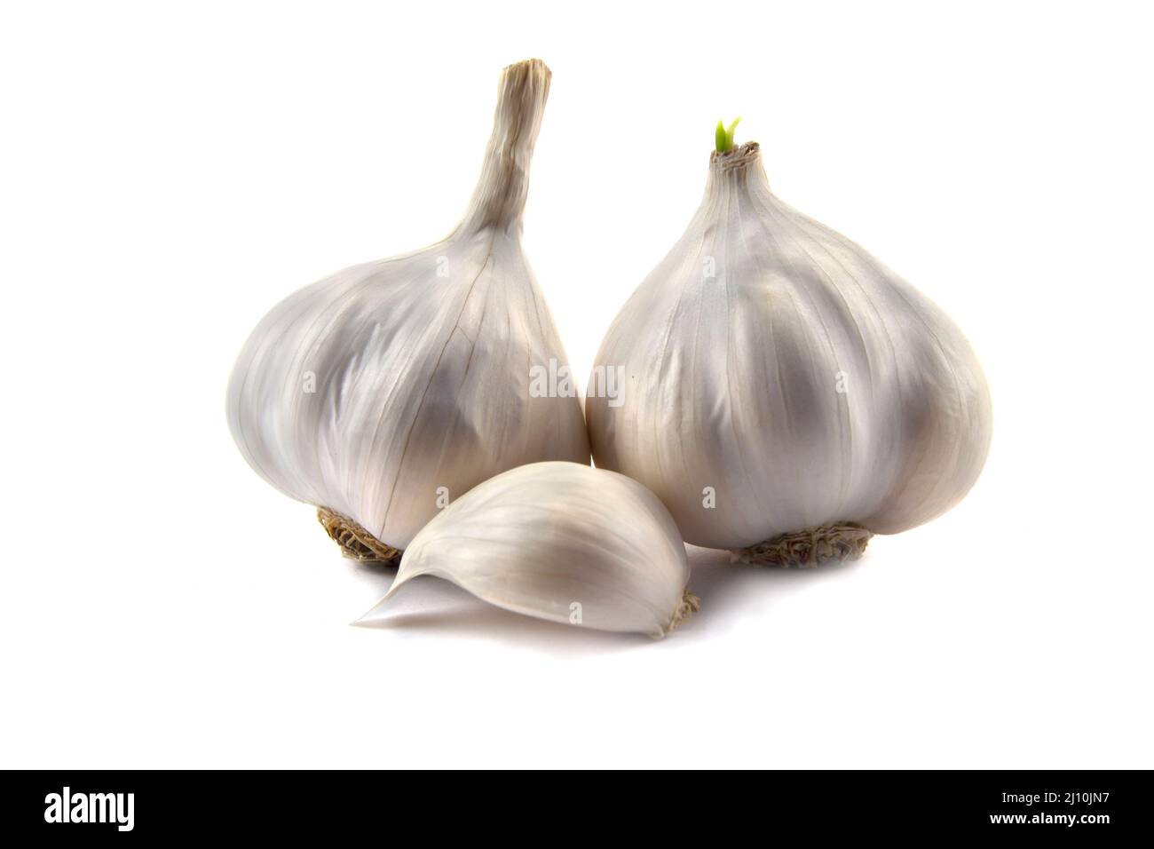 Garlic clove and bulb isolated on white background Stock Photo - Alamy