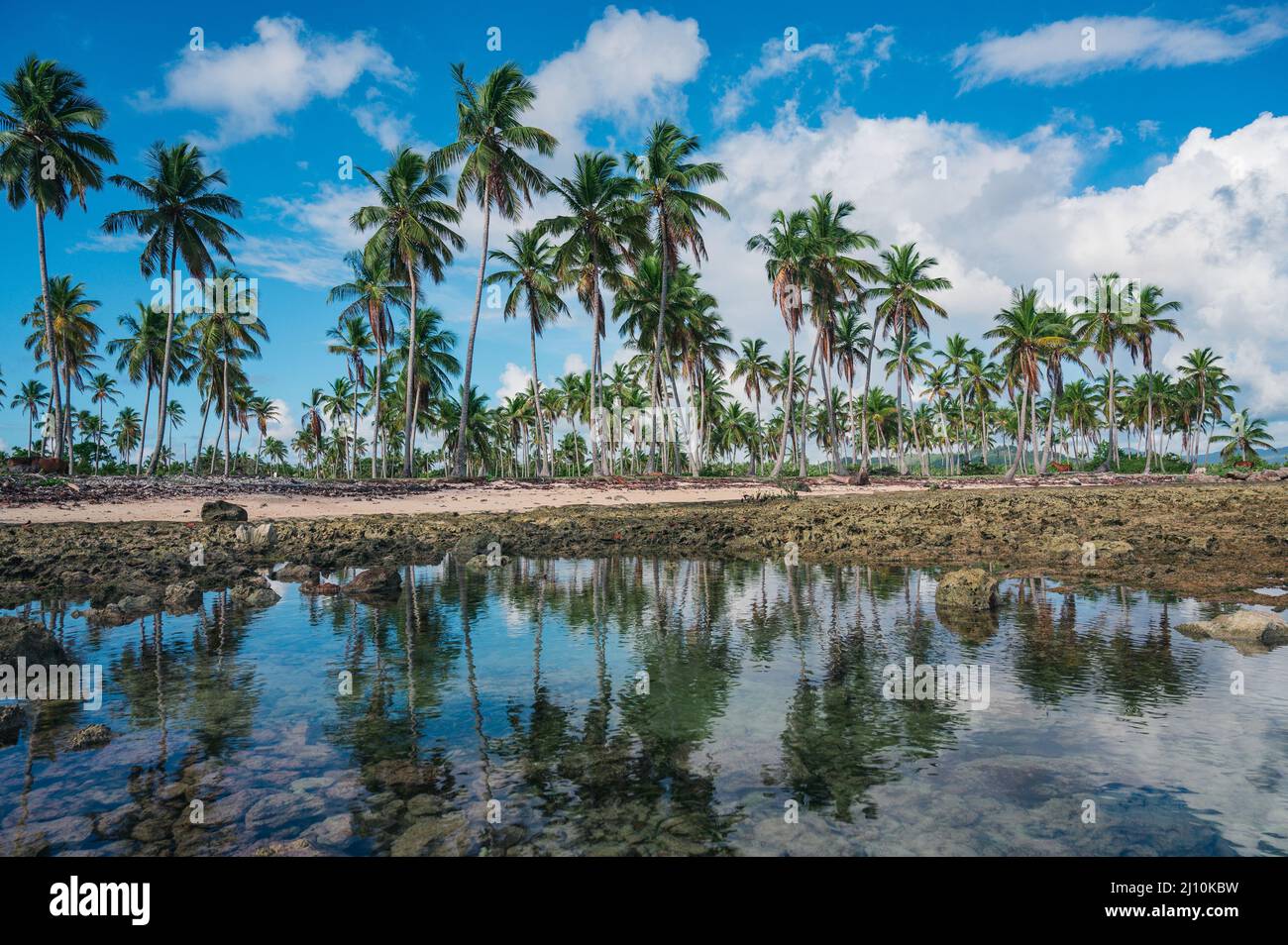 Photo shows coast of the Atlantic Ocean with white sand. This is bay in ...