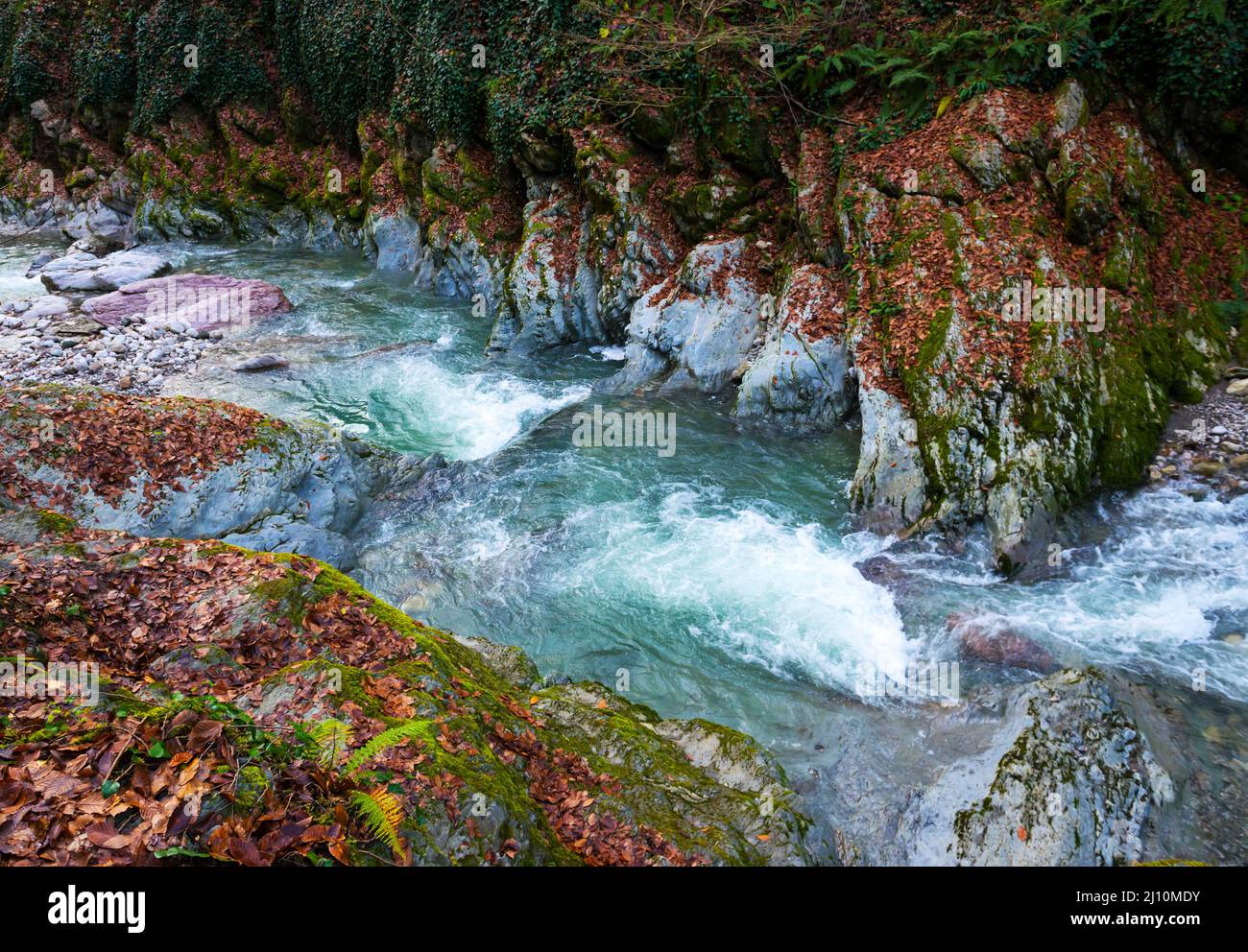 small waterfall on a river with blue clean water in a wild forest Stock ...