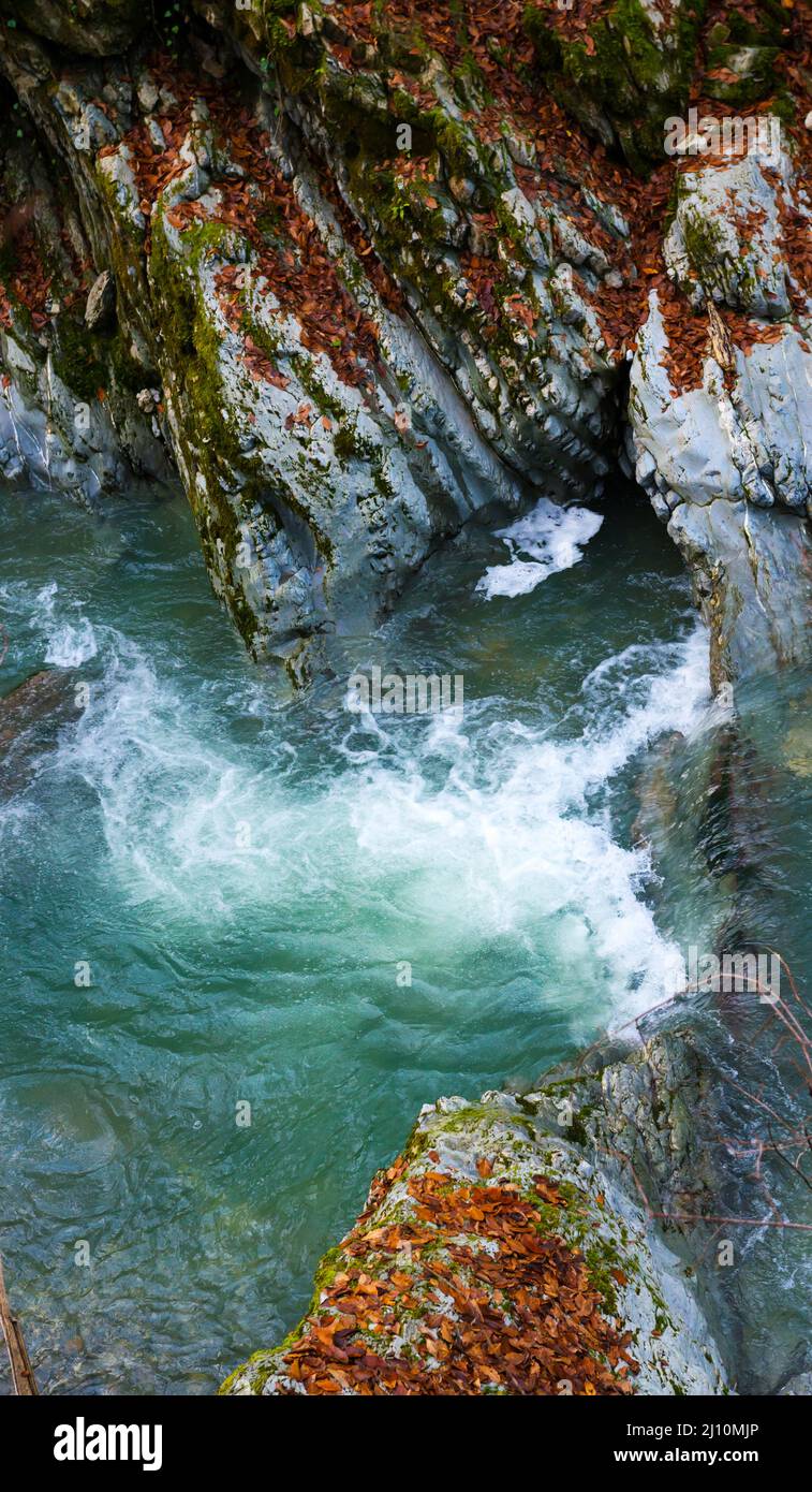 small waterfall on a river with blue clean water in a wild forest Stock ...