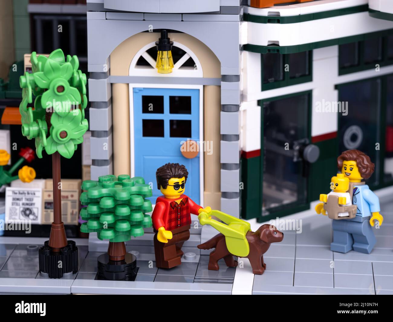 Blind man walking guide dog hi-res stock photography and images - Alamy