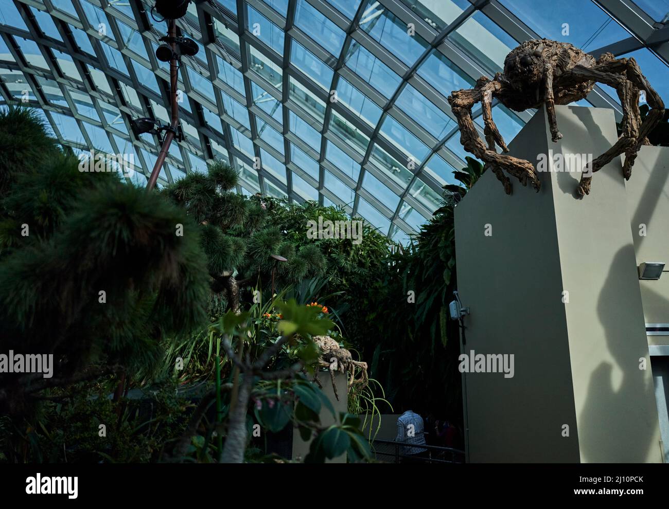 Gardens by the Bay - Creatures of the Cloud Forest - Spider Stock Photo ...