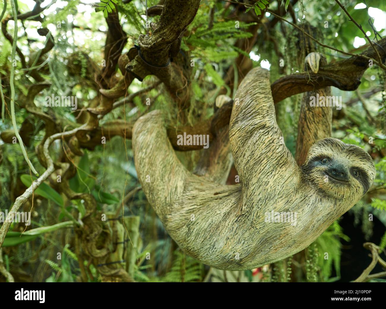 Gardens by the Bay - Creatures of the Cloud Forest - Sloth 2 Stock ...