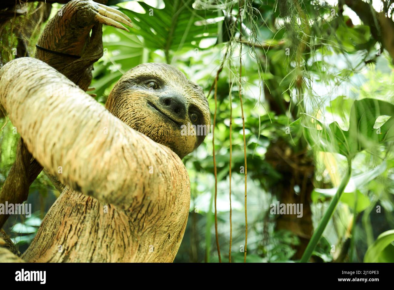 Gardens by the Bay - Creatures of the Cloud Forest - Sloth 1 Stock ...