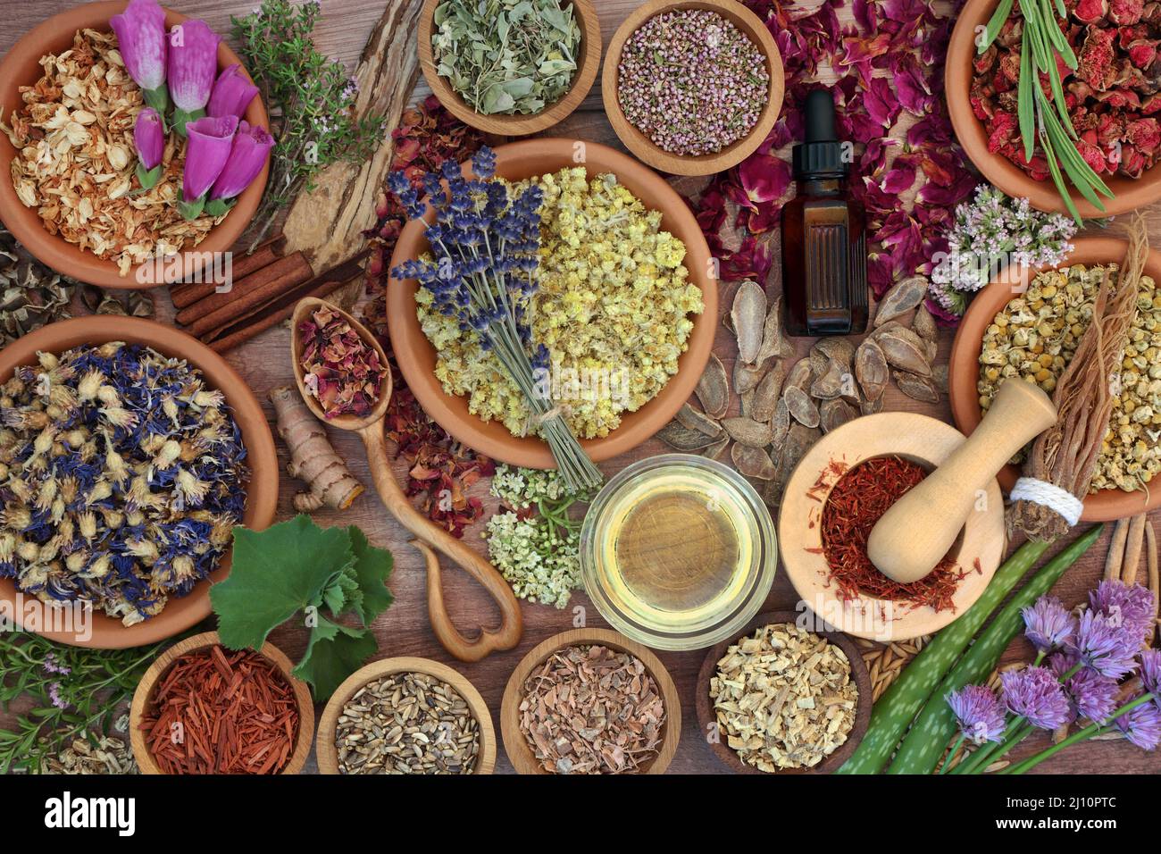 Herbs and flowers used in naturopathic herbal plant medicine for ...