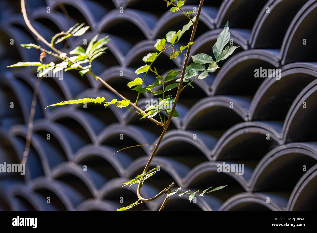 Chinese style wall made of tiles Stock Photo - Alamy