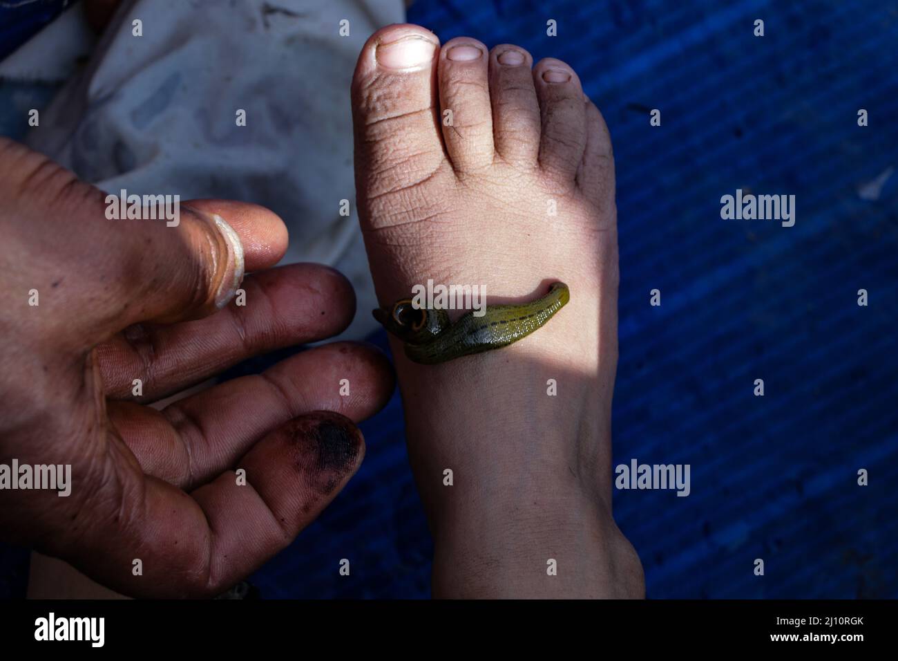 March 21, 2022, Srinagar, Jammu and Kashmir, India: A Kashmiri ...