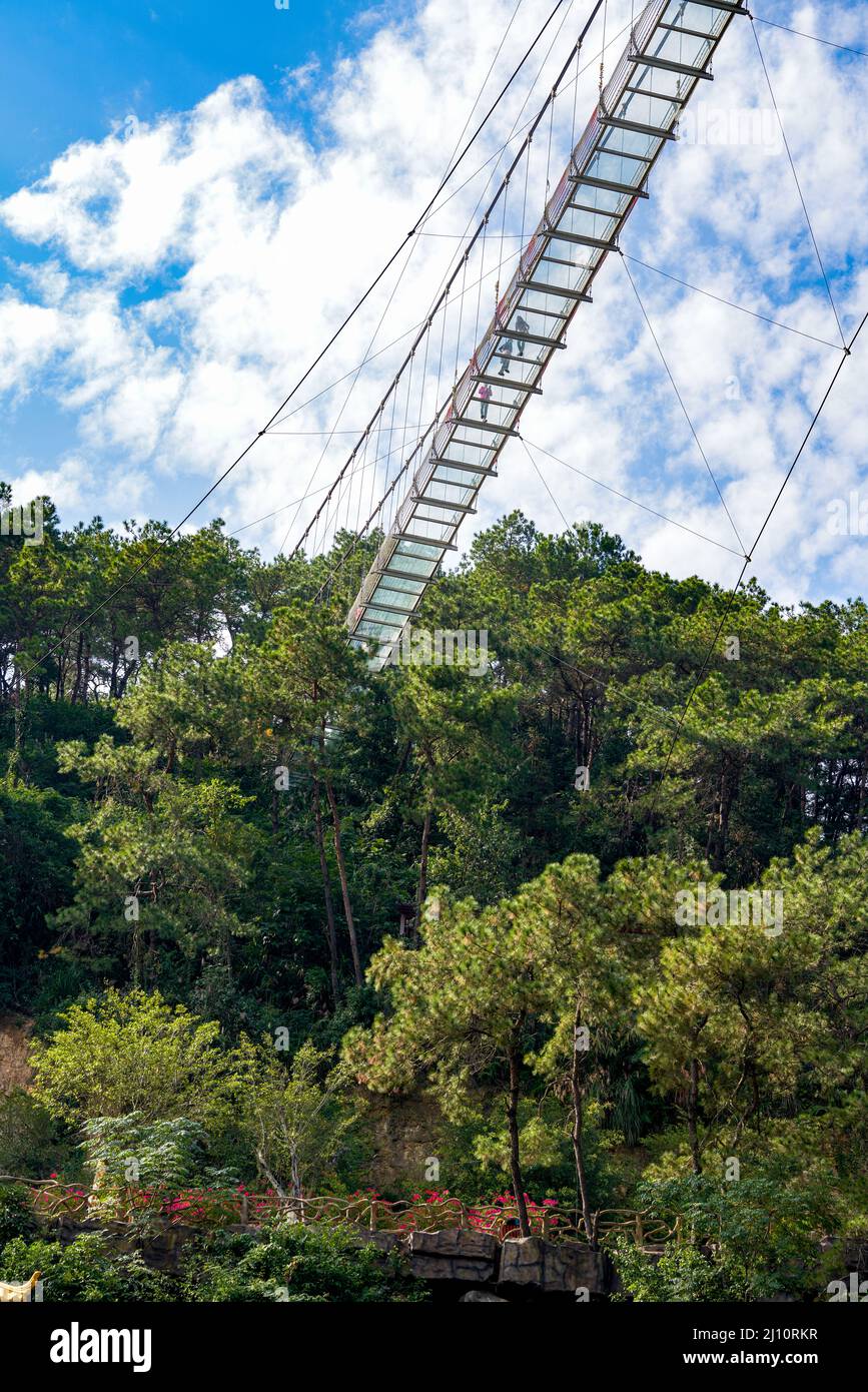 High-altitude pedestrian glass suspension bridge in the park Stock ...