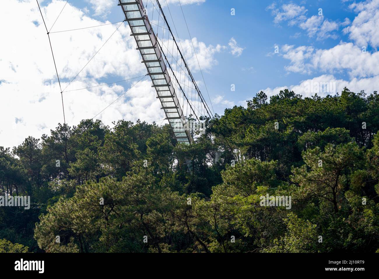 High-altitude pedestrian glass suspension bridge in the park Stock ...