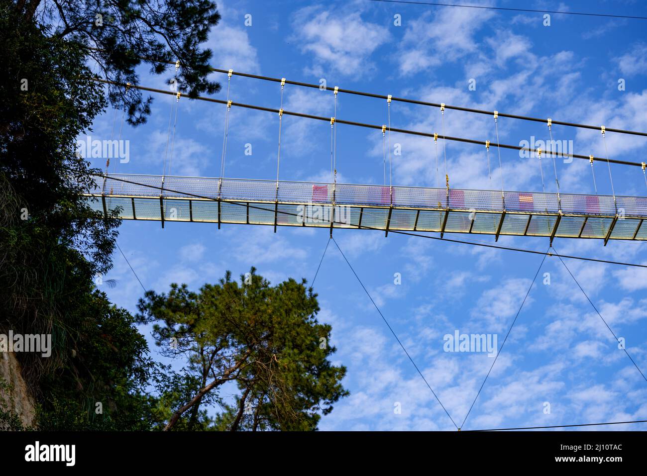 High-altitude pedestrian glass suspension bridge in the park Stock ...
