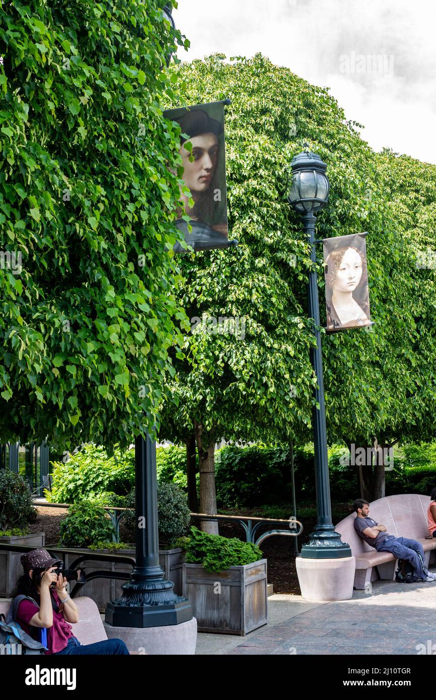 Vertical shot of people relaxing on benches under trees in a Plaza in ...