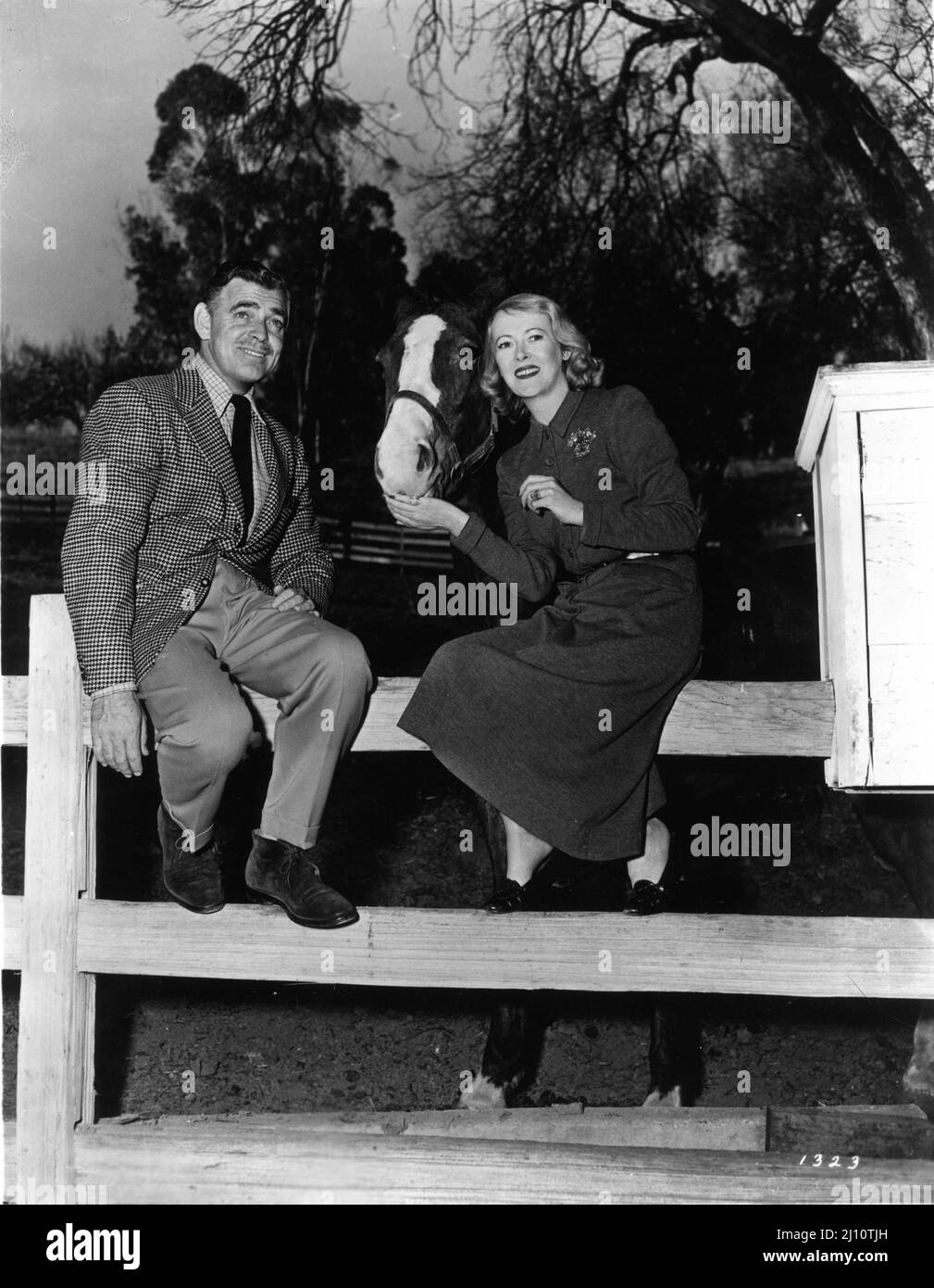 Newlyweds CLARK GABLE and his 4th Wife SYLVIA ASHLEY with their horse ...